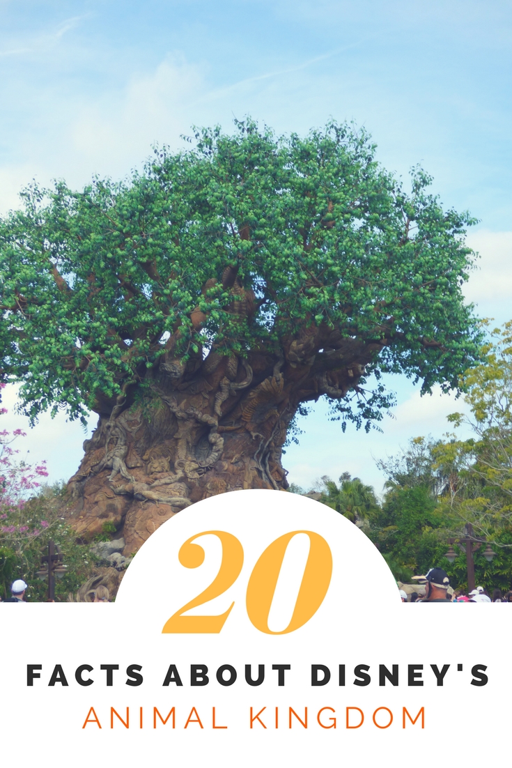 20 facts about Disney’s Animal Kingdom
